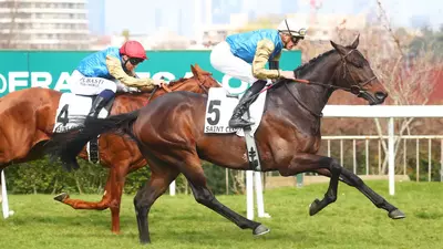 Courses hippiques en direct, en replay, pronostics du Quinté+ et ...