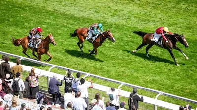 Quinté+: Arrivée et rapports du Quinté+ du jeudi 28 août à Deauville ...