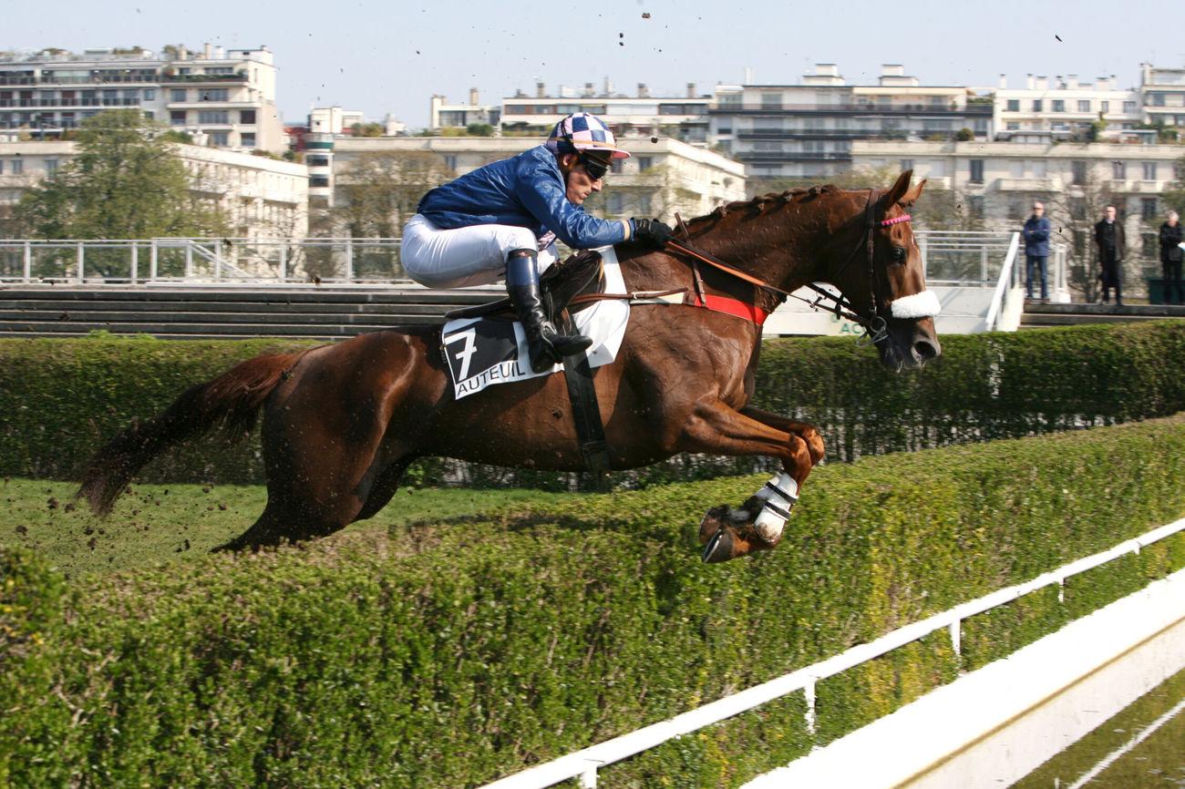 Les 5 légendes de l'obstacle par Alexandre Léger | Equidia