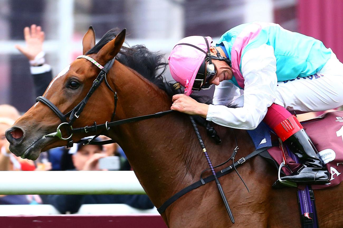 Le Top 10 des meilleurs chevaux du Qatar Prix de l'Arc de Triomphe ...