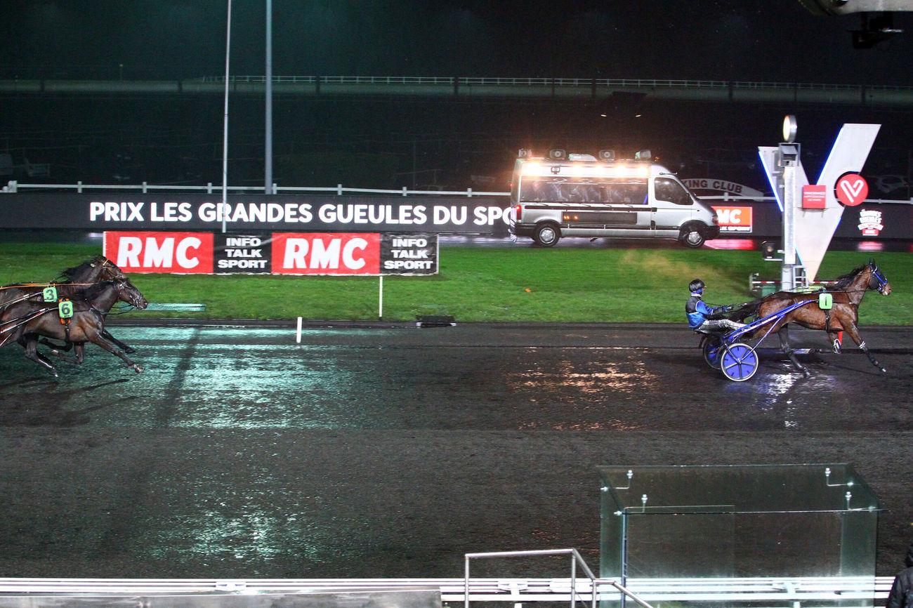 Etonnant, un cheval différent des autres | Equidia