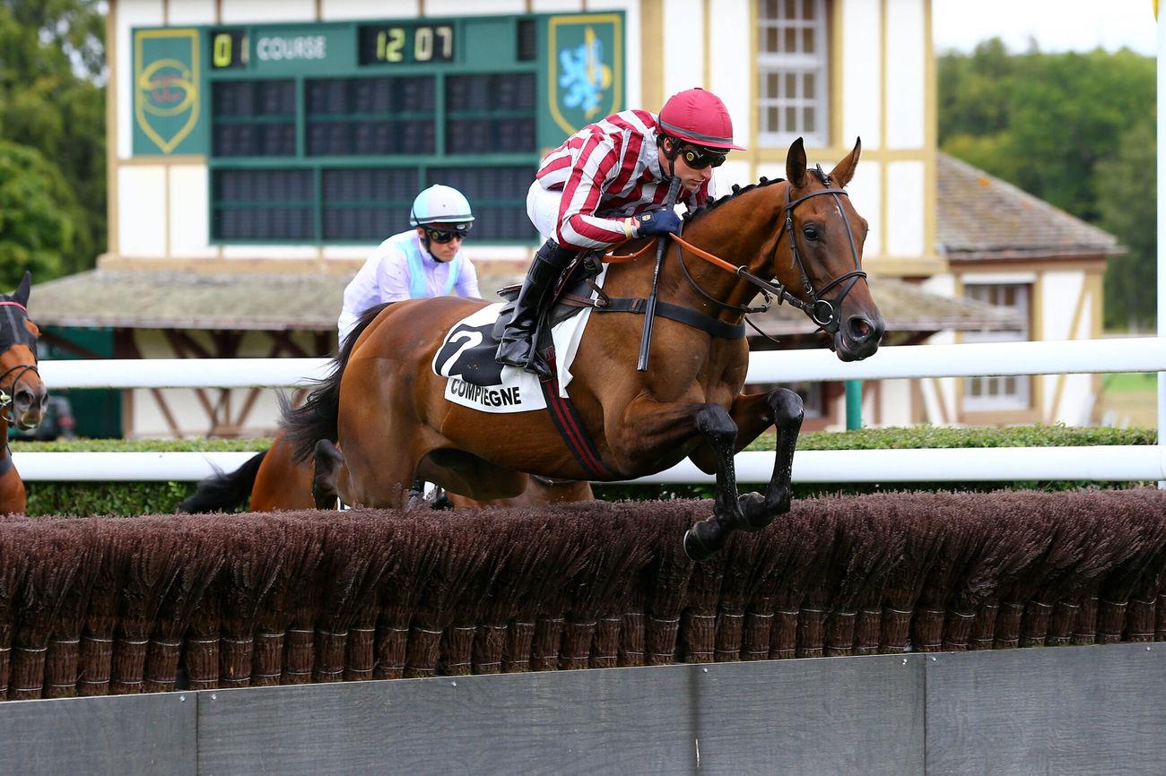 Quinté+: Le pro du jour - Nicolas de Lageneste : « Dernier Cri est ...