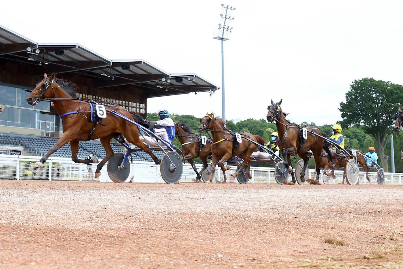 Les pronos des experts d'equidia | Equidia