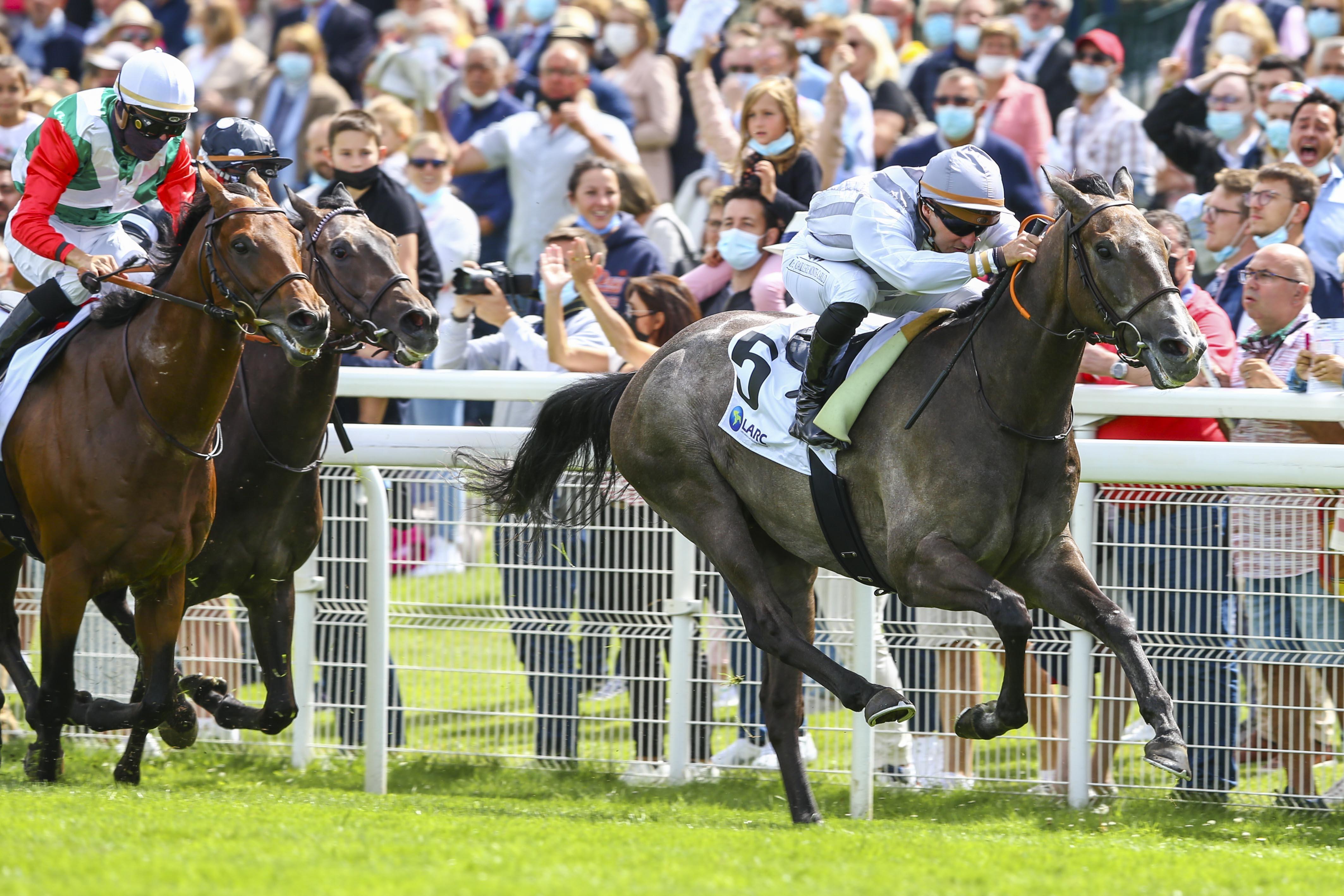 Arrivée Du Quinté Du Dimanche 8 Août 2021 à Deauville Now We Know A