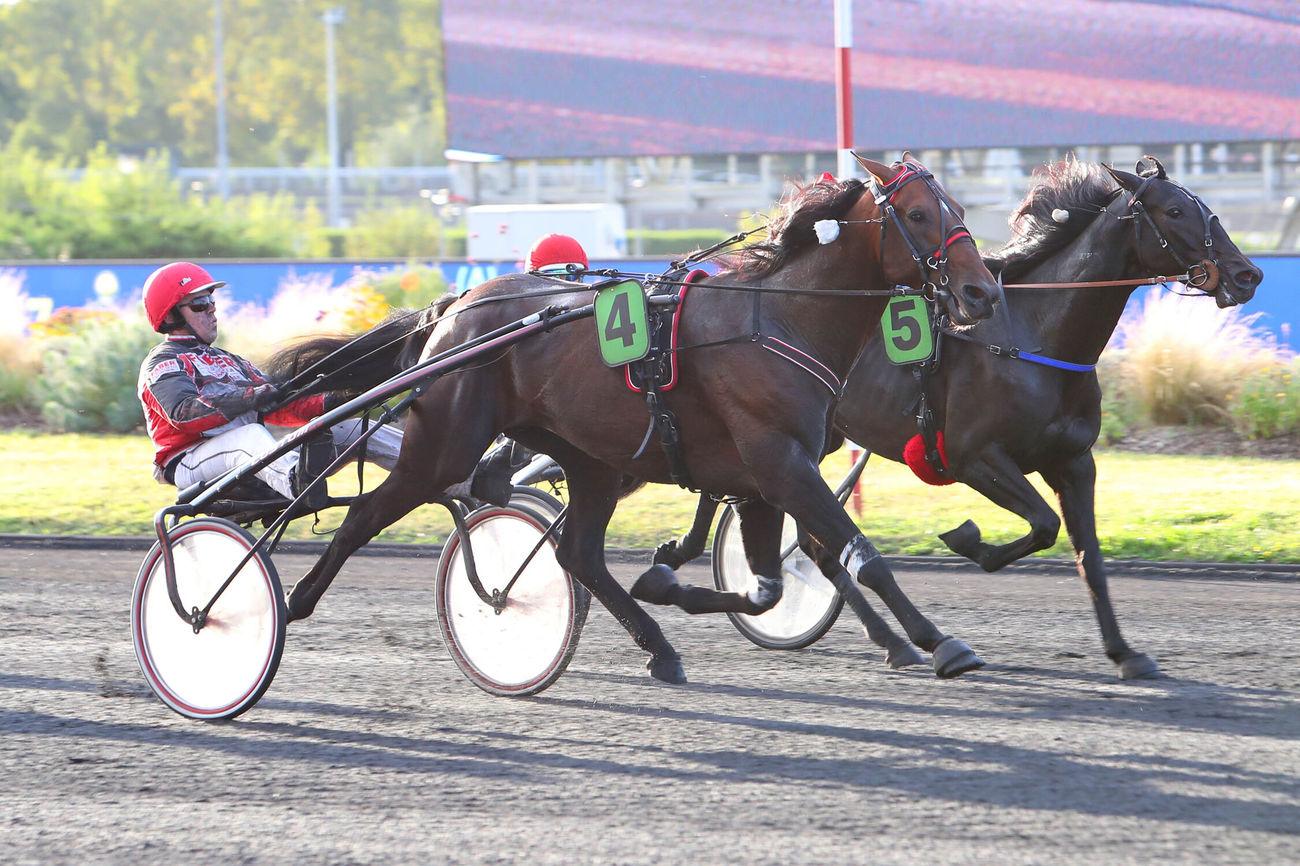 Quinté+: Le pro du jour - Paul Hagoort : "Nikita R a des moyens" | Equidia