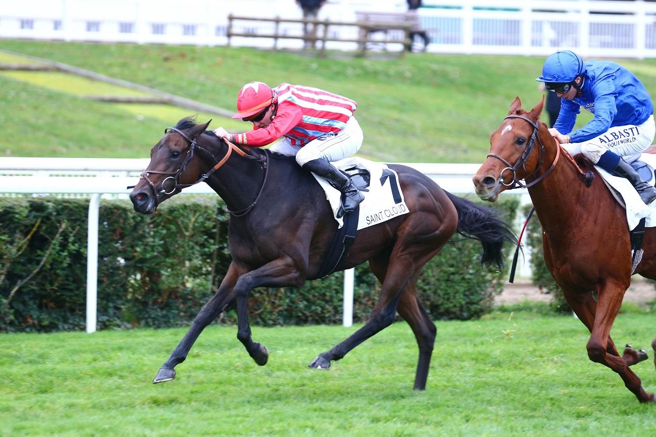 Le Top Courses du 16 novembre | Equidia