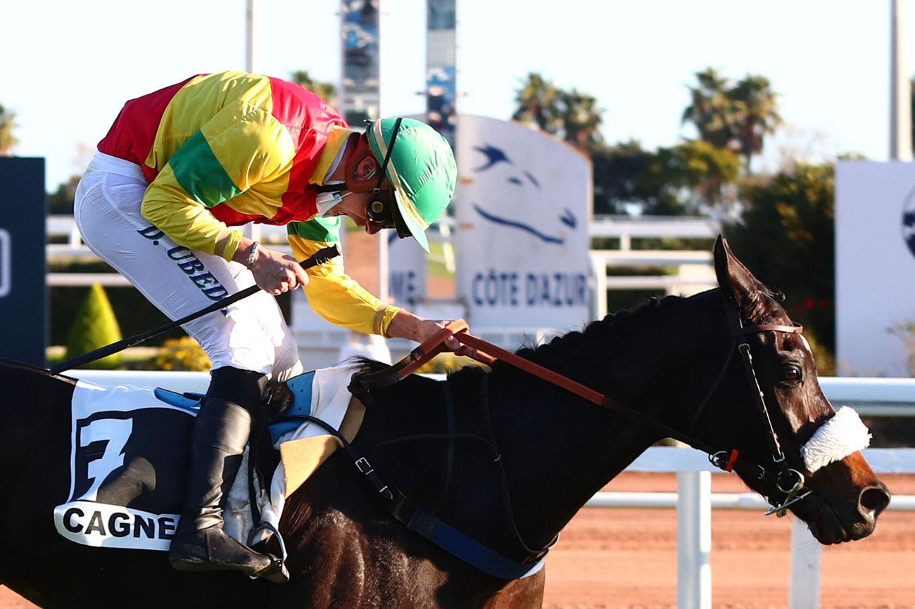 Les tuyaux des pros pour le meeting d'obstacle de Cagnes-sur-Mer | Equidia