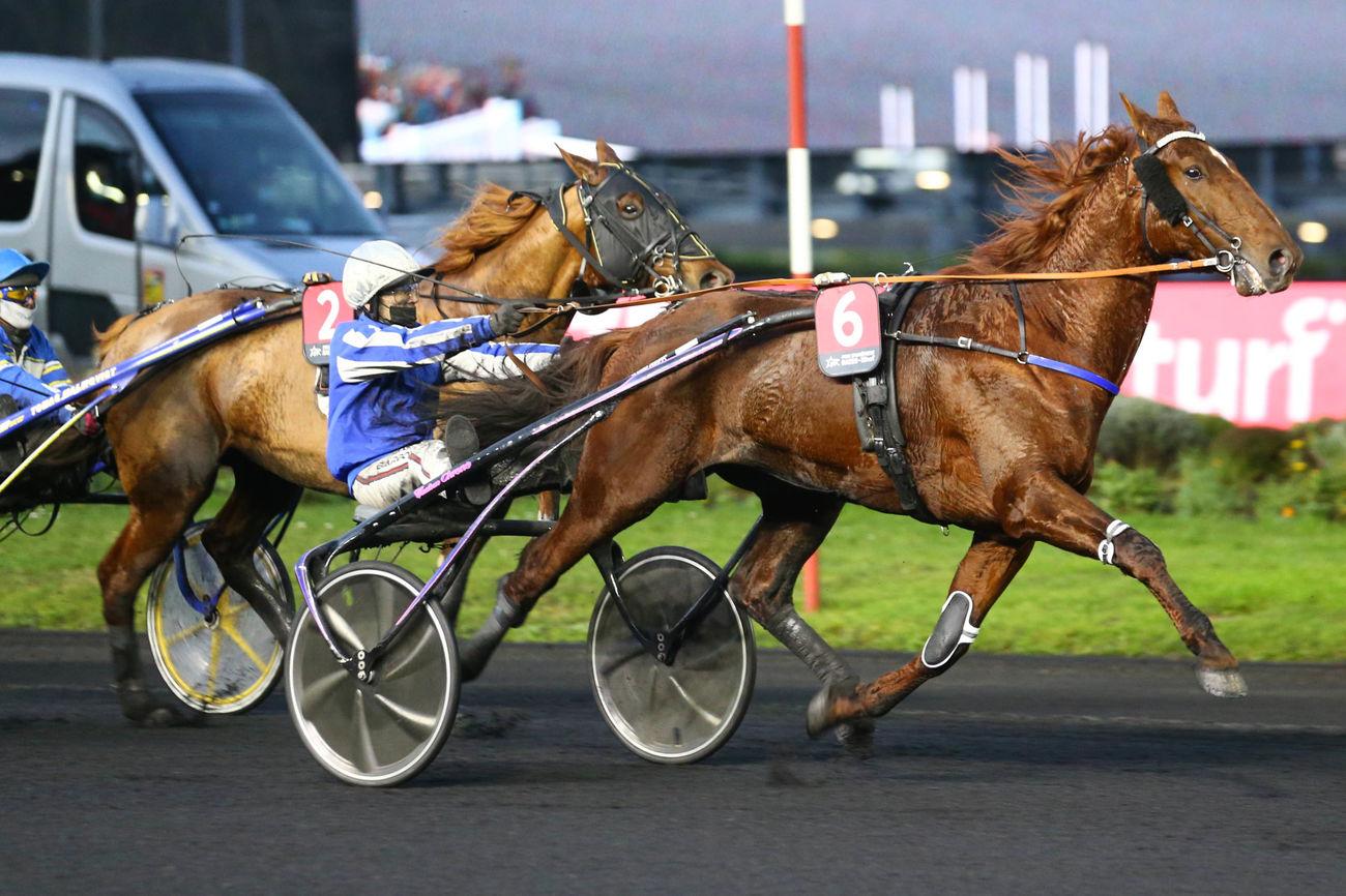 Le top 3 des journalistes d'Equidia pour le Prix d'Amérique Races ...