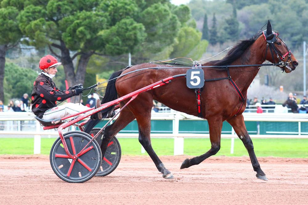 Sylvain Roger à propos de Délia du Pommereux : « Je ne vais pas dire qu ...