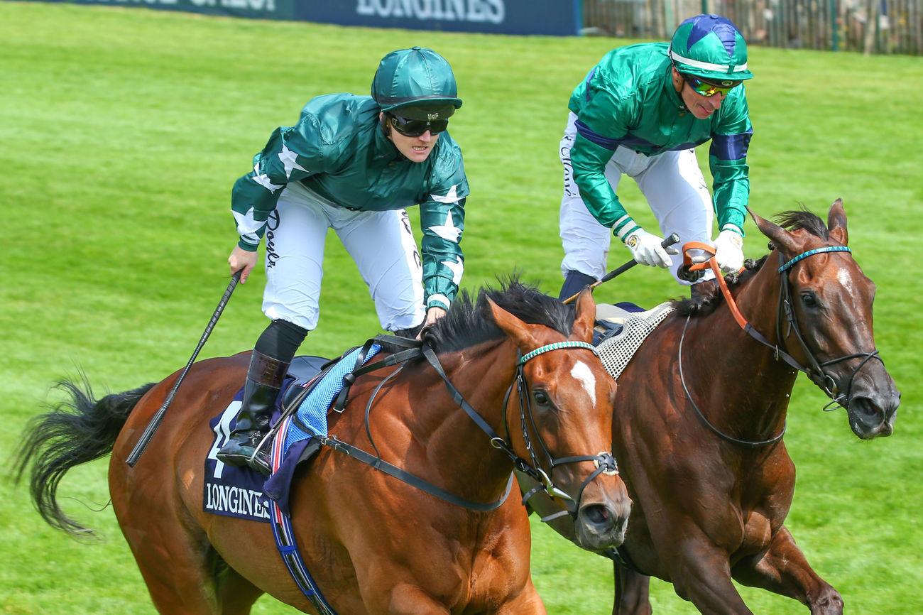 Les "5 pénos" du dimanche 2 octobre | Equidia