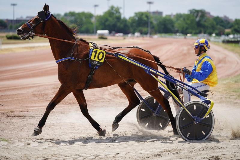 Nicolas Brossard : "Nous avons atteint l'objectif avec mon père" | Equidia