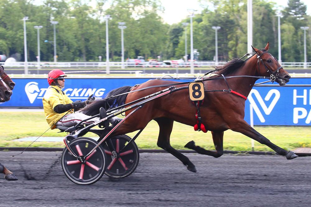 Gianni Fascella : « Avoir Jean-Michel Bazire au sulky, c’est comme ...