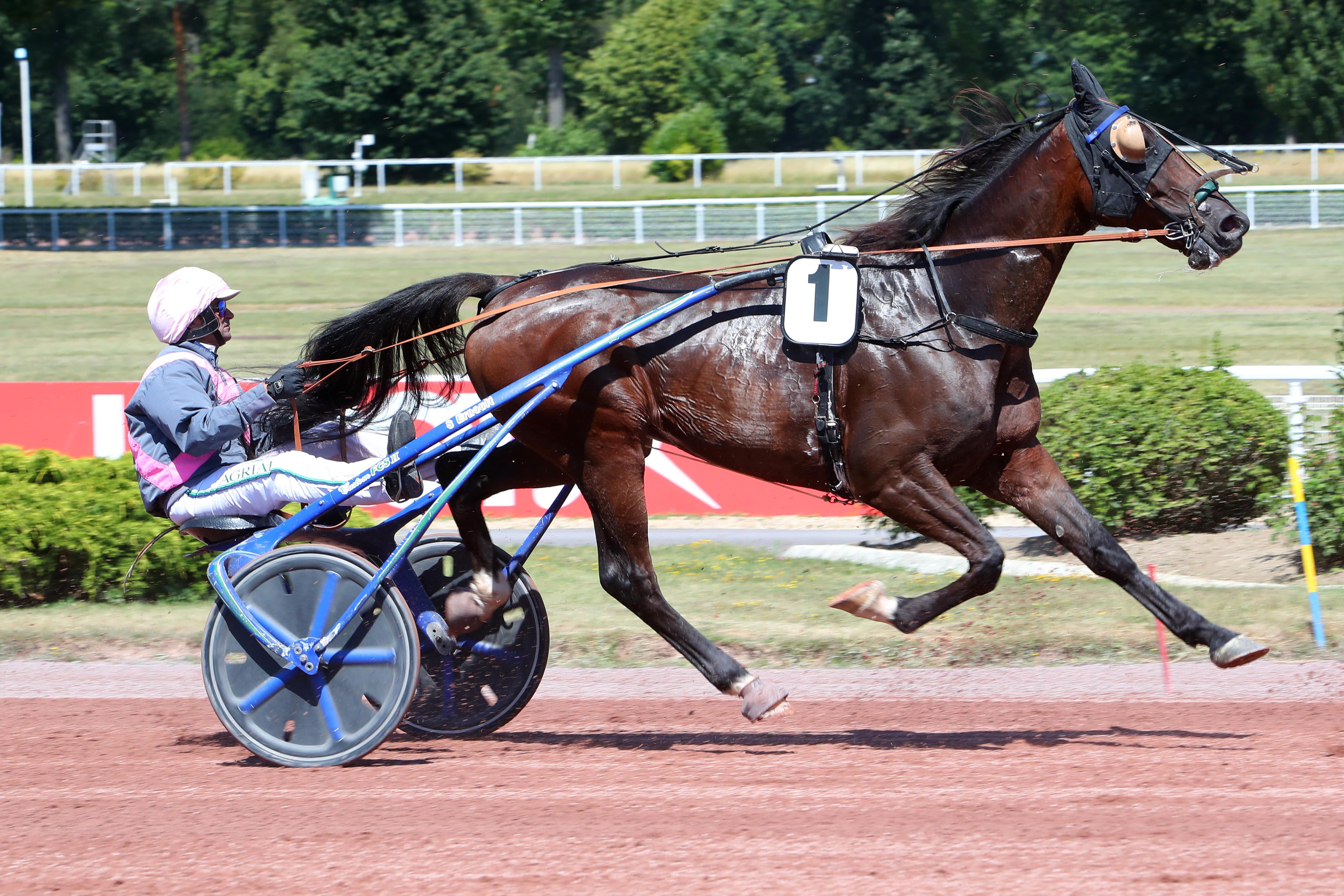 Quinté+: Le pro du jour - Alain Henri Robin : "Fepson est en parfaite ...