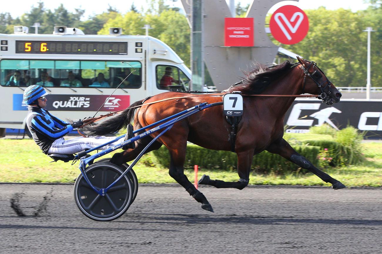 Le top 3 des journalistes d'Equidia pour le Critérium des 4 ans | Equidia