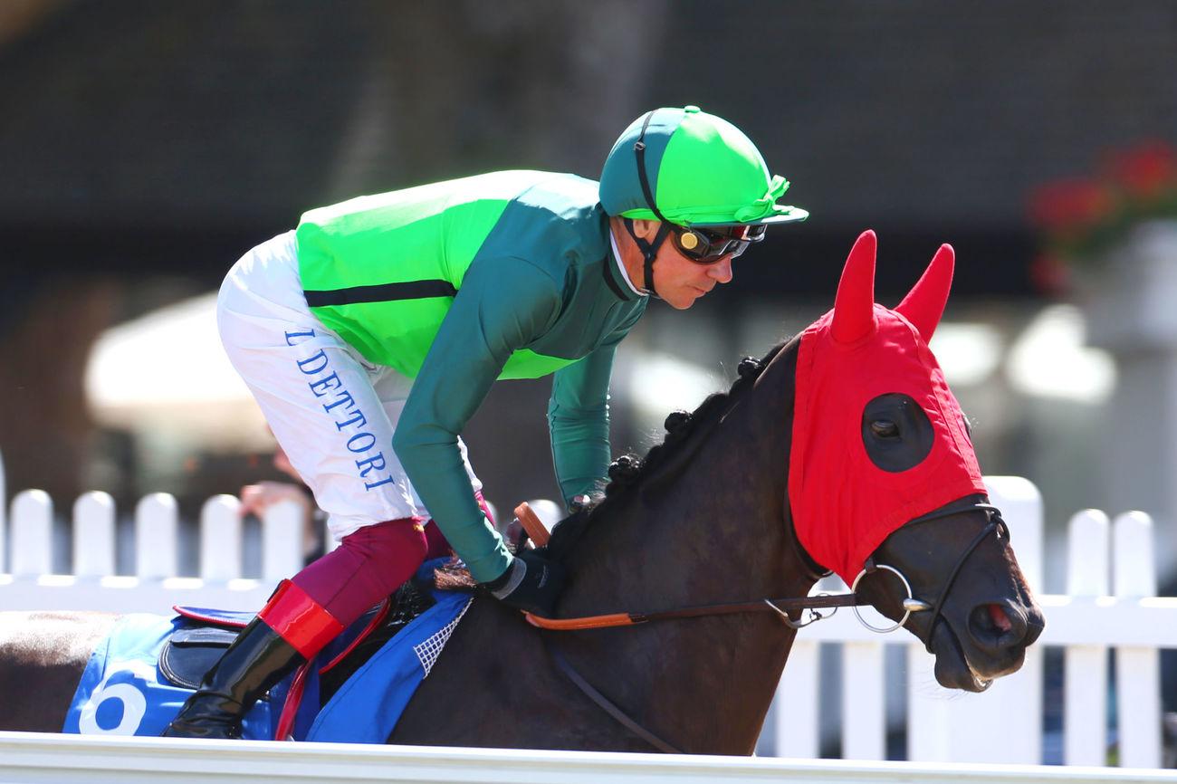 Le calendrier des courses hippiques importantes du mois de novembre ...