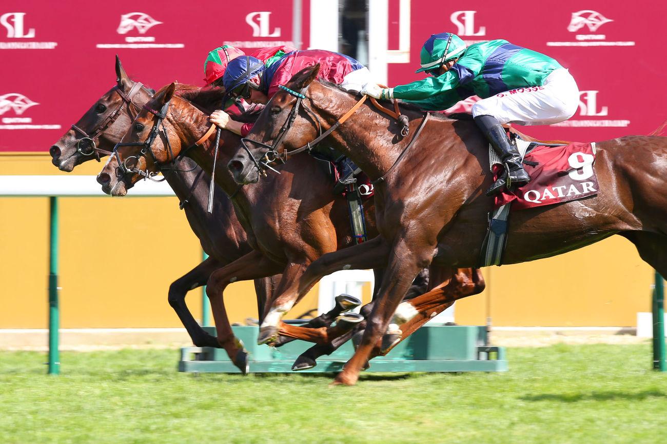 Gérald Mossé : "Je serai associé à La Parisienne dans le Qatar Prix de ...