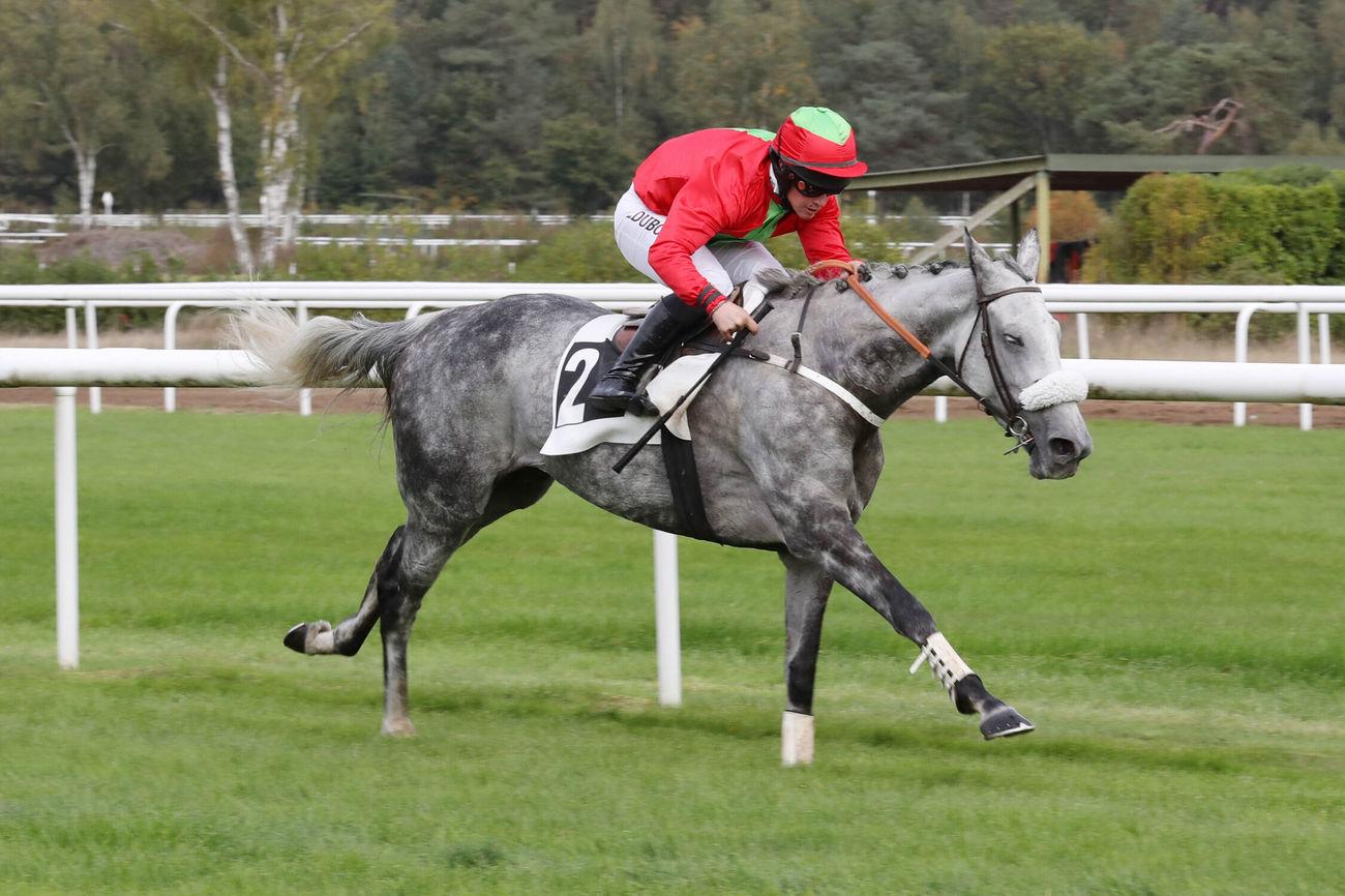 Vers un mythique Grand Cross de Craon | Equidia