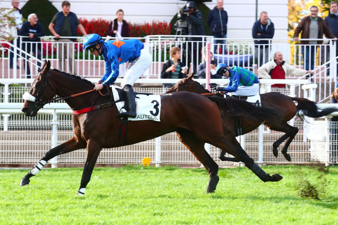 Le calendrier des courses hippiques importantes du mois de novembre ...