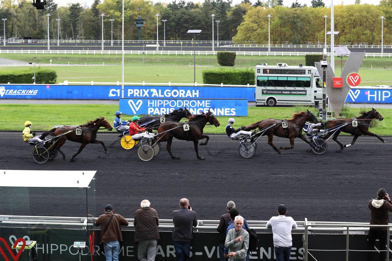 Le calendrier des courses hippiques importantes du mois de novembre ...