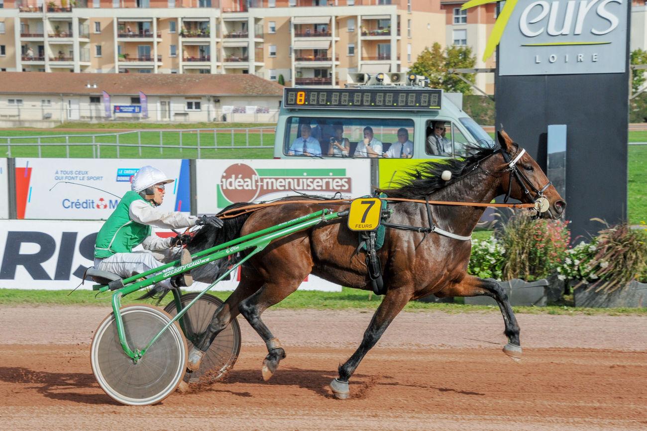 Quinté+: Le pro du jour - Guillaume Gillot : "J'espère voir Hallix ...