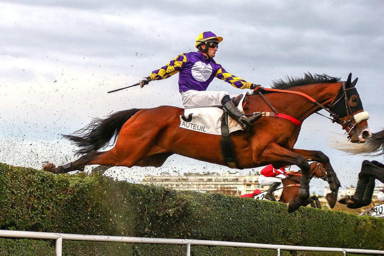 Quinté+: Le pro du jour - Daniela Mele : "Hitech m’a agréablement ...