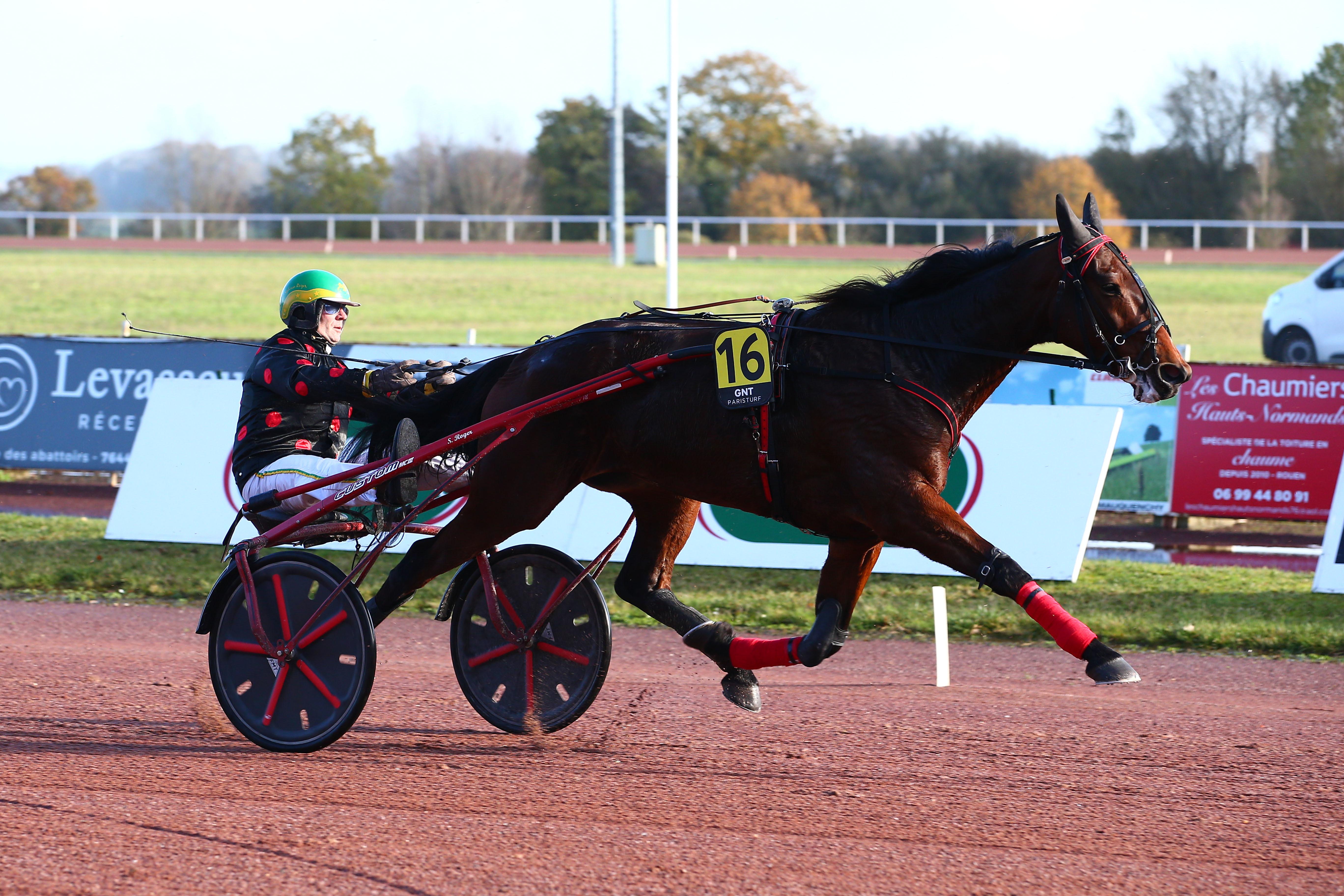 Le pro du jour - Pierre-Yves Verva : "Gipsy de Chamant est extra ...