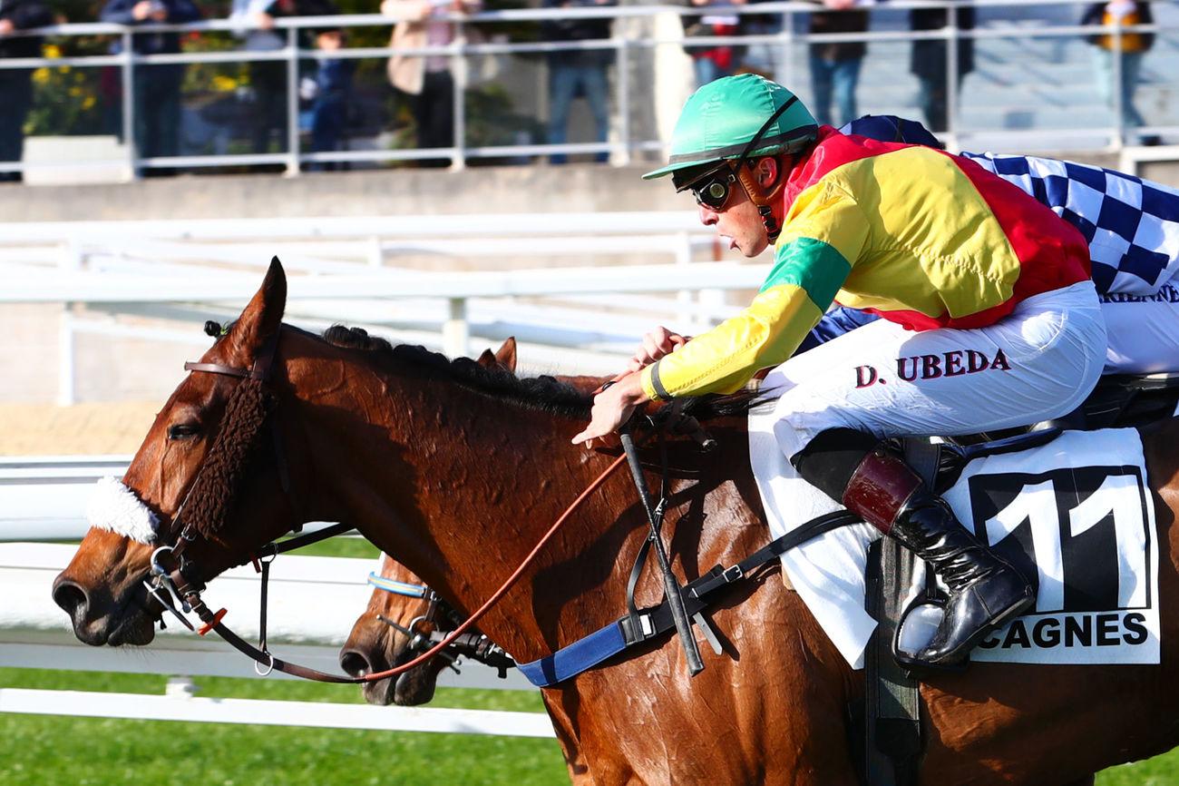 Quinté+: Le pro du jour - Dylan Ubeda : "Malgré le poids, Rock And Roll ...