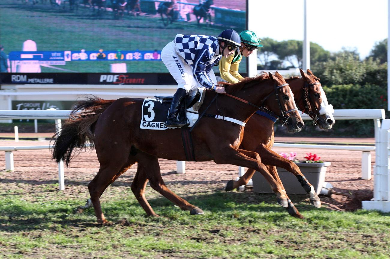 Quinté Les 3 Tuyaux Du Quinté Du Lundi 11 Décembre Equidia
