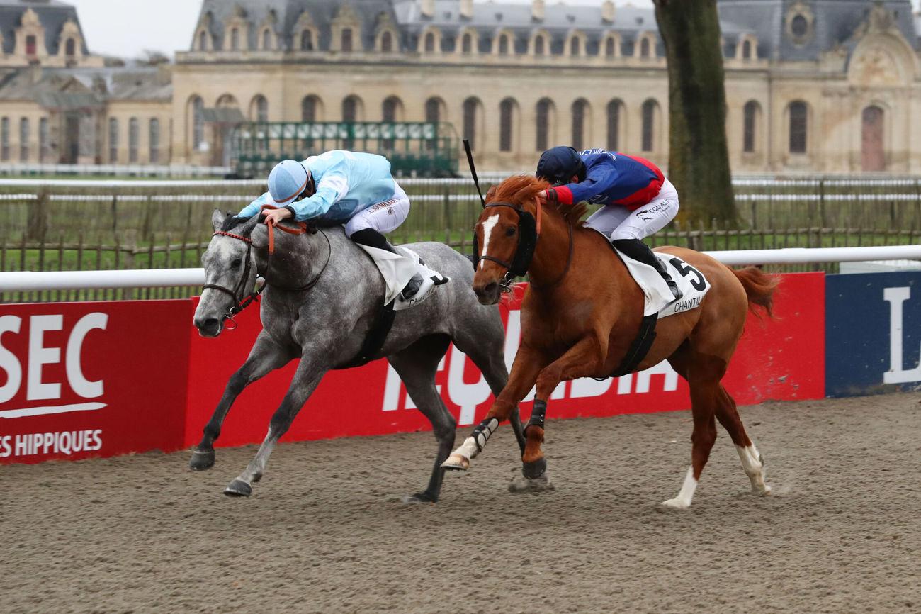 Le pro du jour - Eric Lecoiffier : "Black Milord Tavel a tout pour lui ...