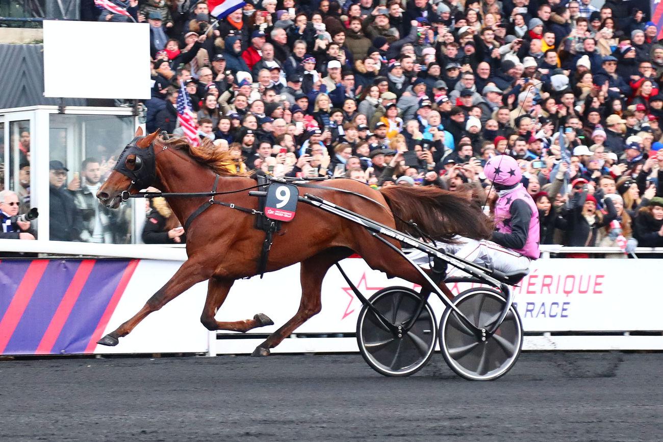 Le top 3 des experts d'Equidia pour le Prix de France Speed Race | Equidia