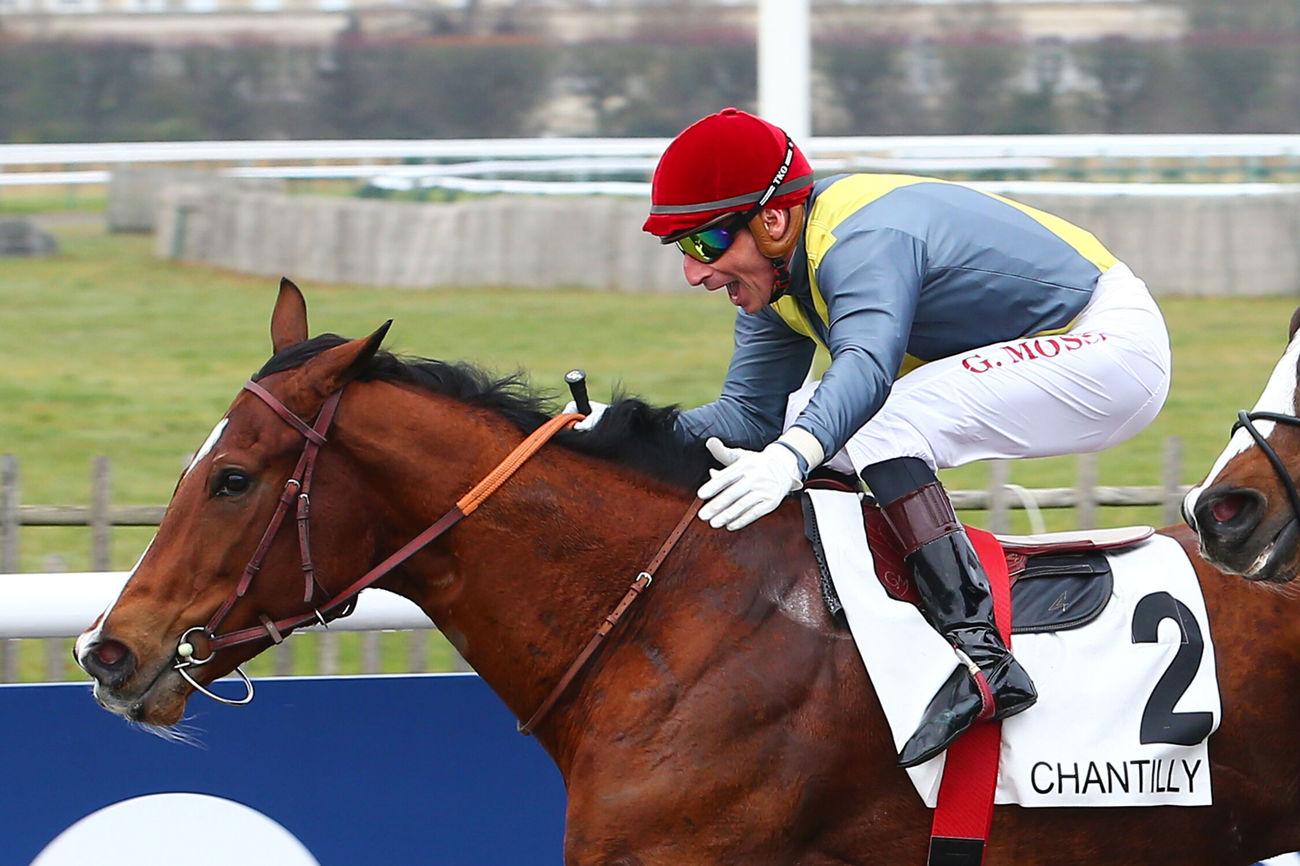 Les 3 Tuyaux Du Quinté Du Mardi 1er Août à Deauville Equidia