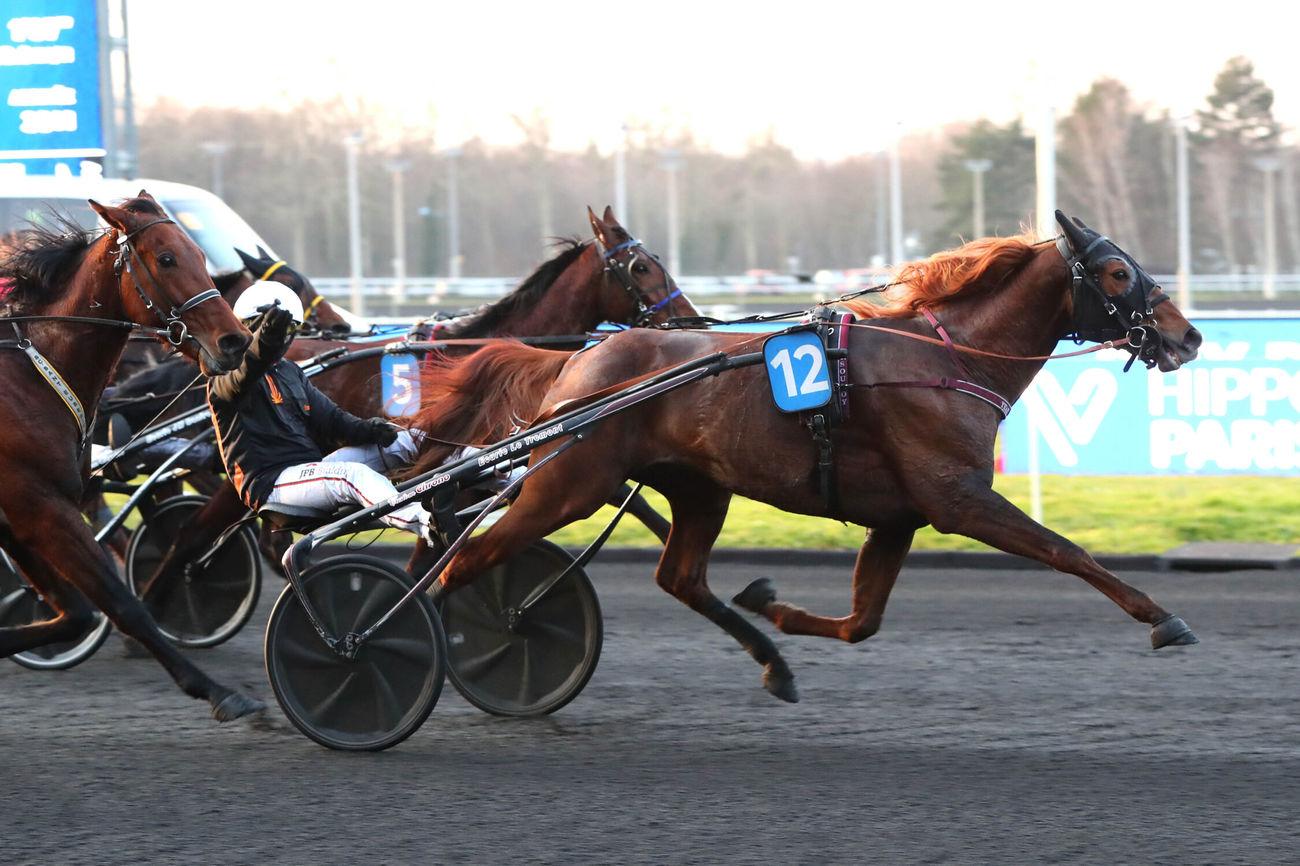 Le pro du jour - Emma Souloy : "Gold Voice est une jument fantastique ...