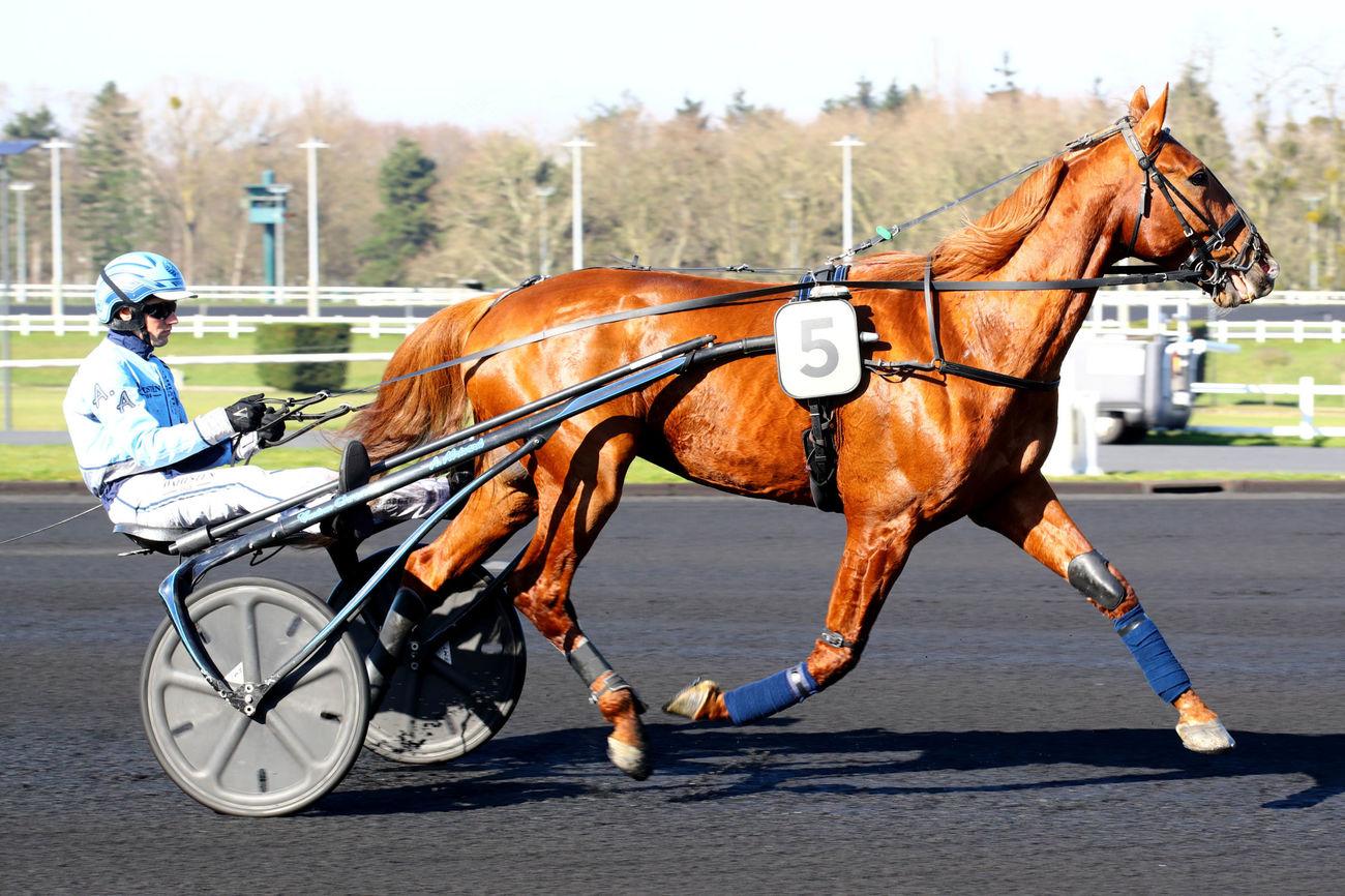 Quinté+: Le pro du jour - Laurent-Claude Abrivard : "Howdy Quick peut ...