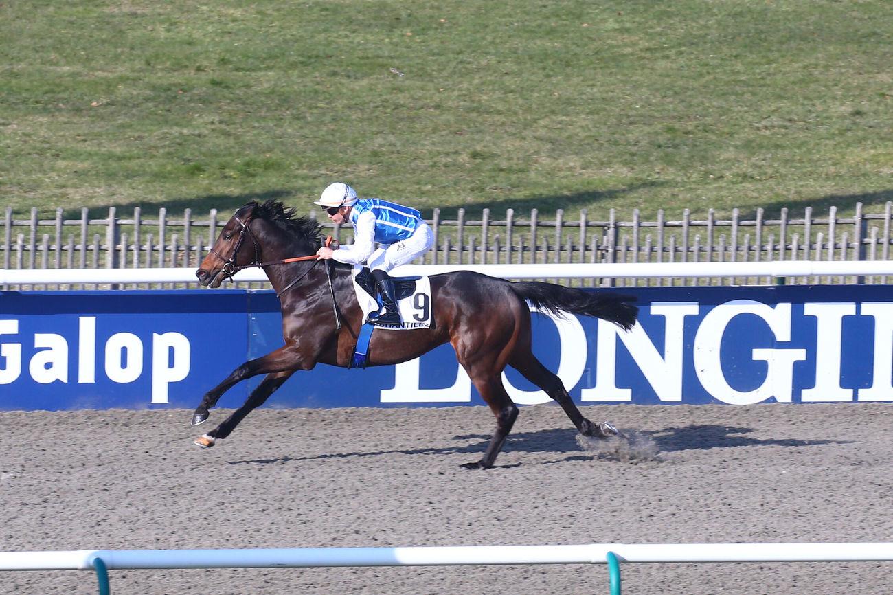 Quinté Les 3 Tuyaux Du Quinté Du Mardi 9 Avril à Deauville Equidia