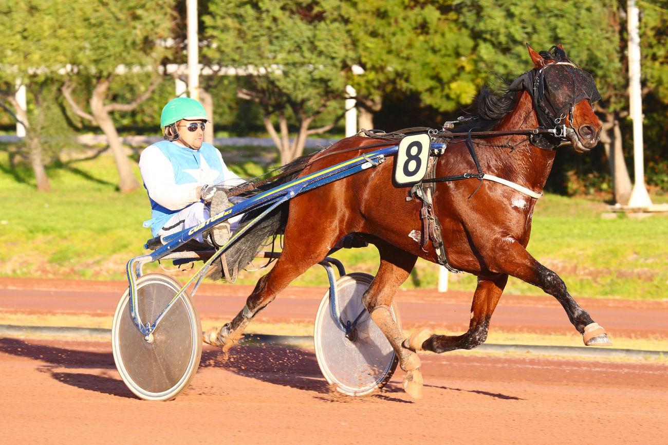 Quinté+: Le pro du jour - David Cinier : "Let Me Sixty One peut ...