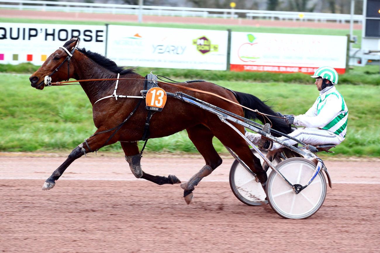 Le pro du jour – William Bigeon : "Je compte sur Izarra Most pour ...