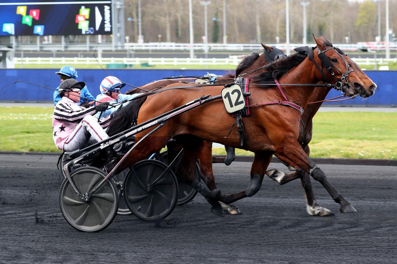 Le pro du jour – Franck Ouvrie : "Lindstedt est un poulain d’avenir ...
