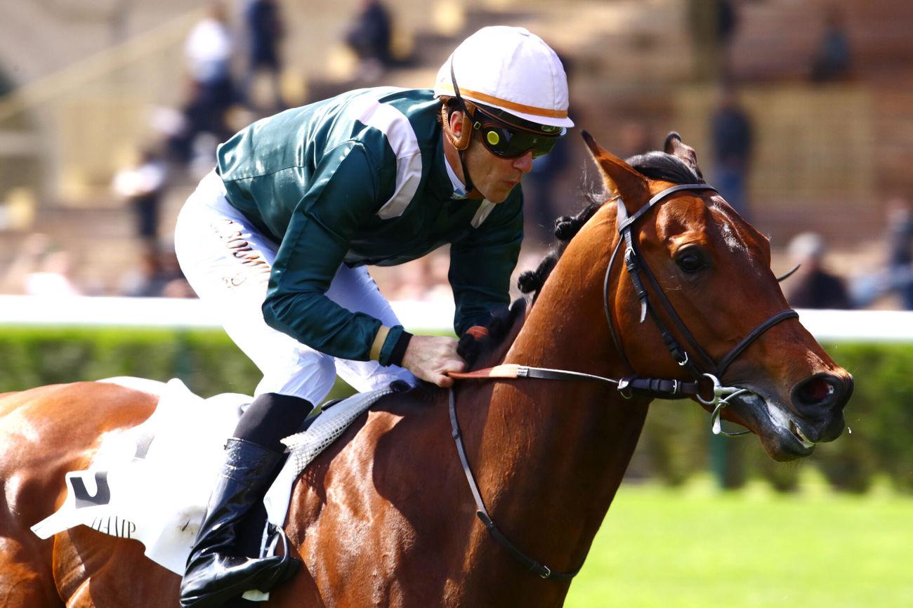 Le Top 3 des journalistes d'Equidia pour le Qatar Prix du Jockey Club à ...