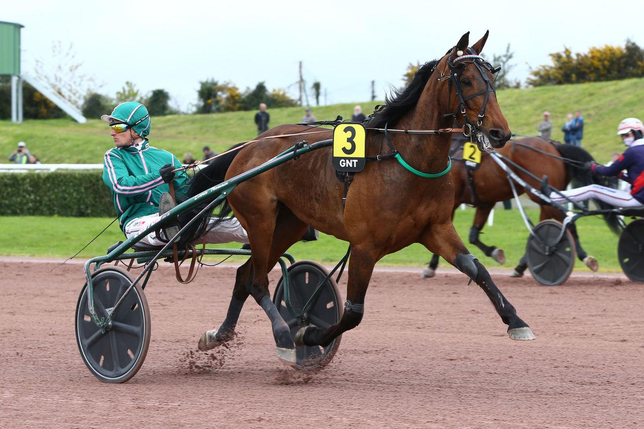 Quinté Les 3 Tuyaux Du Quinté De Ce Mercredi 20 Décembre Equidia
