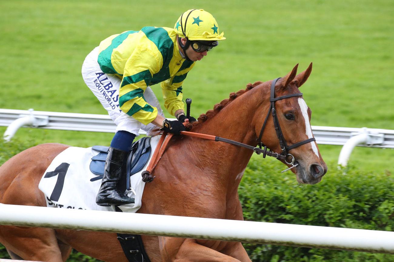 Le pro du jour - Nicolas Perret : "Harry Way est déjà en bonne forme ...