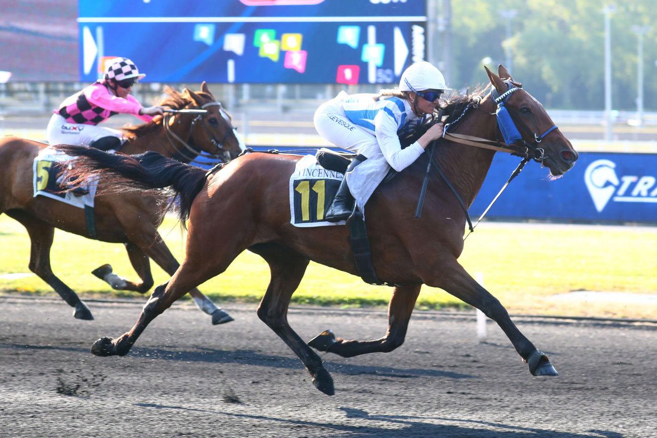 Le pro du jour - Camille Levesque : "Si Granvillaise Bleue progresse ...