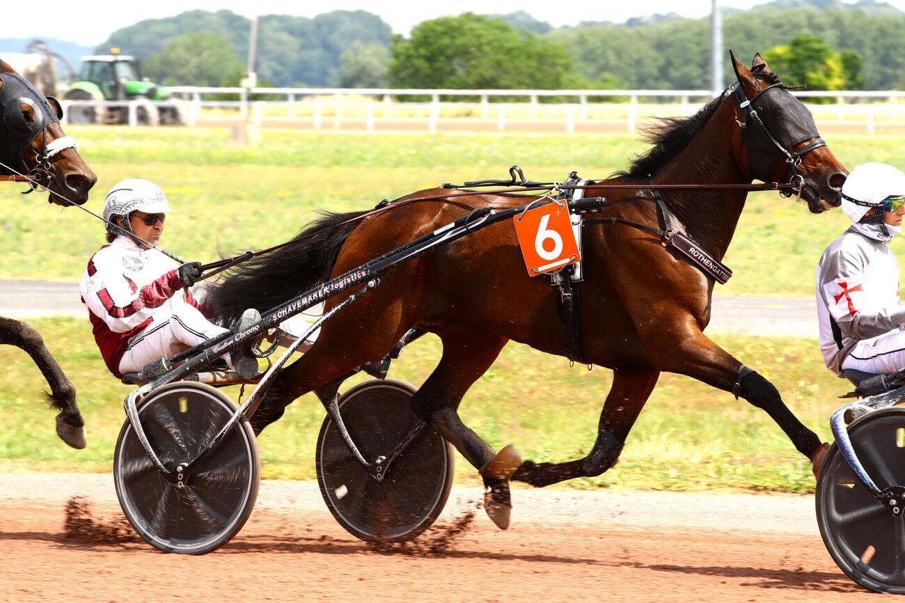 Quinté+: Le pro du jour - Michel Rothengatter : "Omerta Boko est ...