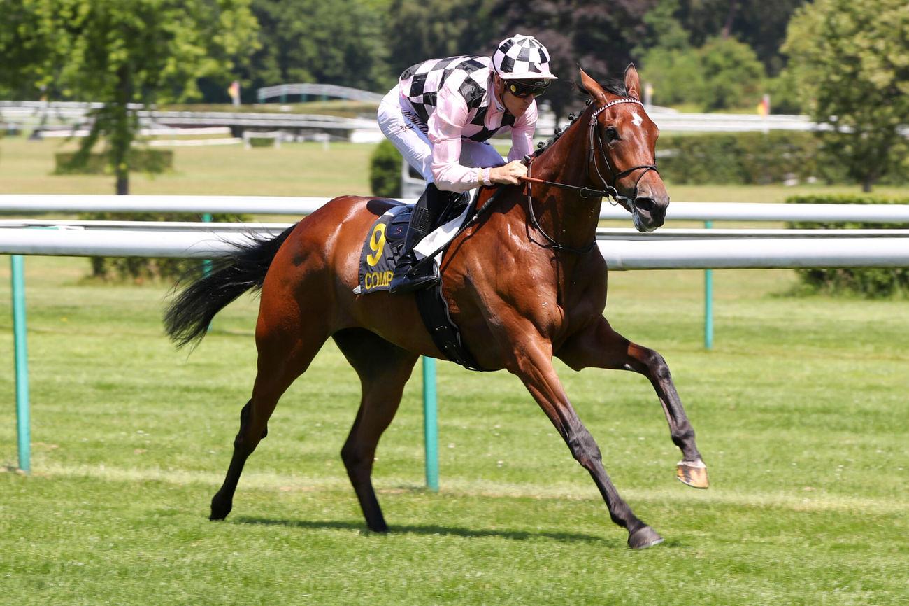 Quinté+: Le pro du jour - Yann Lerner : "Minoushka fait partie de nos ...