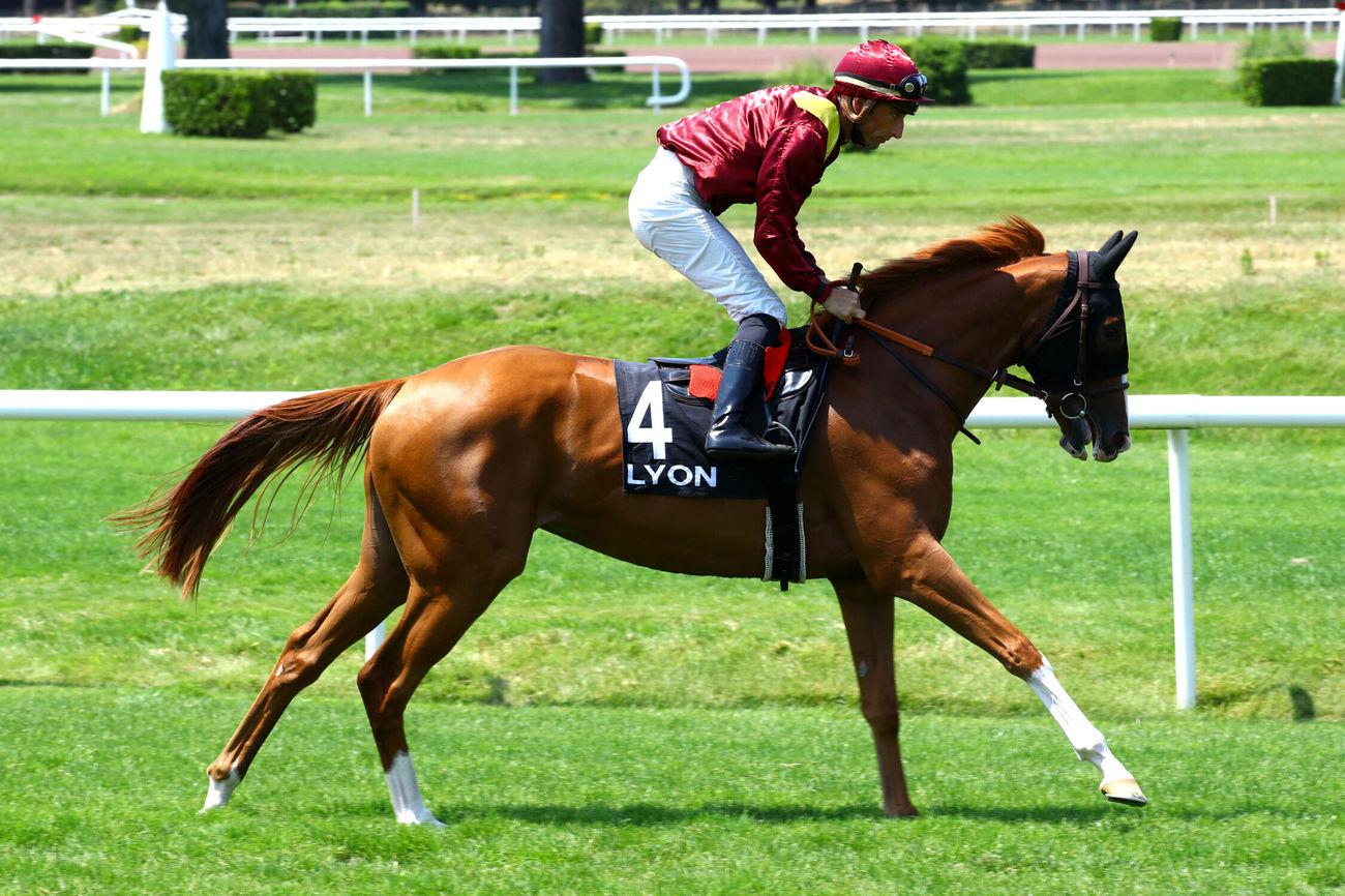 Quinté+: Le pro du jour - Mario Baratti : "Lorne peut terminer dans les ...