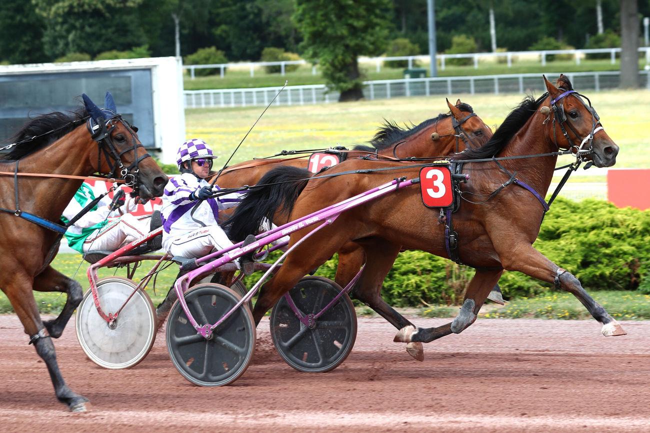 Quinté+: Le Pro du jour - Emmanuel Varin : "Joker d'Amaro, dans les ...