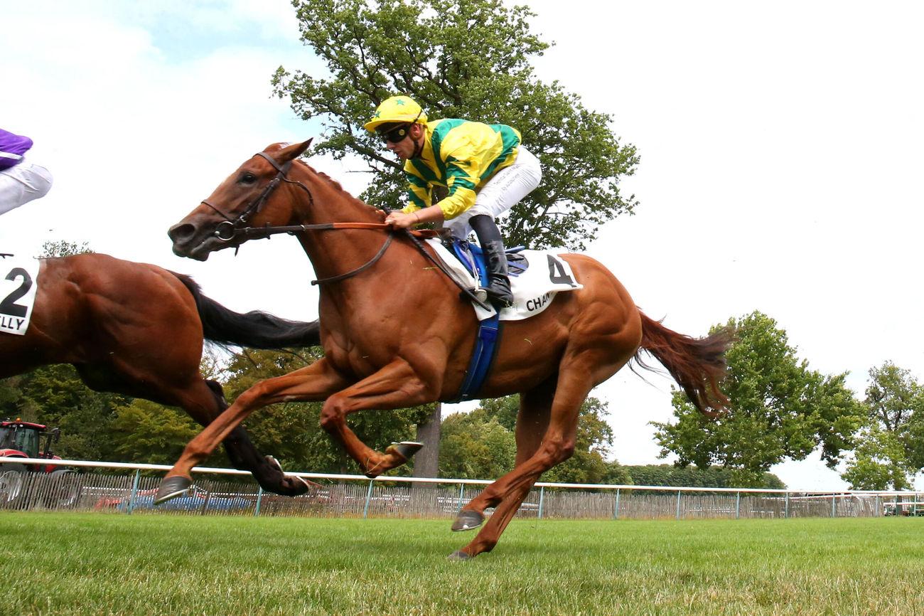 Quinté+: Le pro du jour – Patrice Cottier : "L’écurie devrait réaliser ...