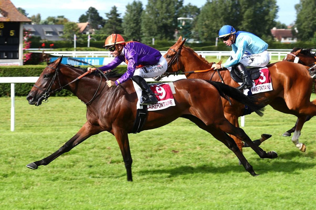 Quinté Les 3 Tuyaux Du Quinté Du Jeudi 16 Novembre Equidia
