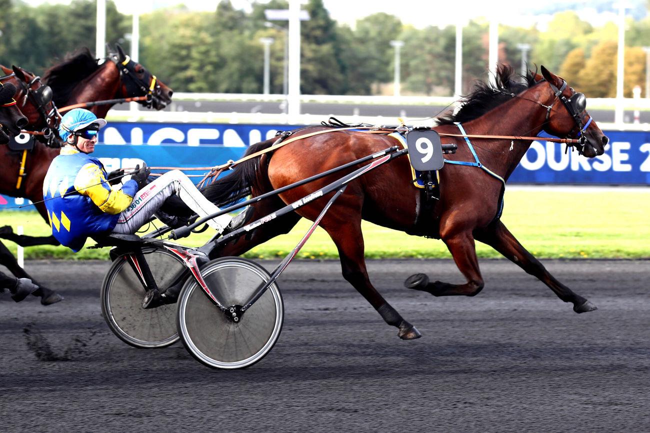 Quinté Le Ticket De Gilles Favard Pour Le Quinté Du Jeudi 7 Décembre