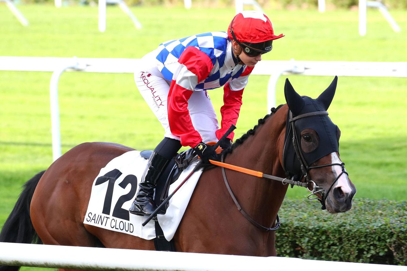 Quinté Les 3 Tuyaux Du Quinté Du Samedi 11 Novembre Equidia