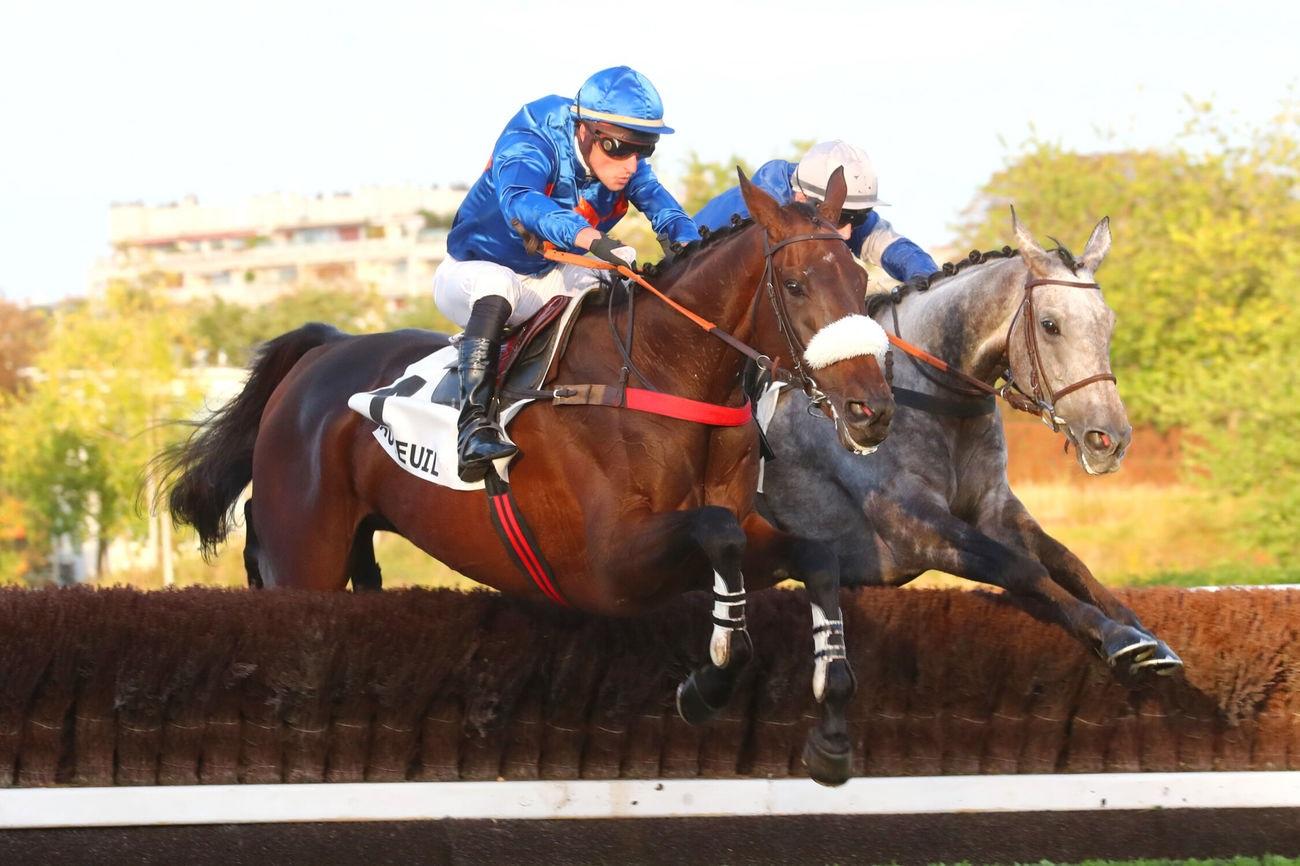 Analyse du favori du Prix Serge Landon - Grand Prix d'Automne : Thélème ...